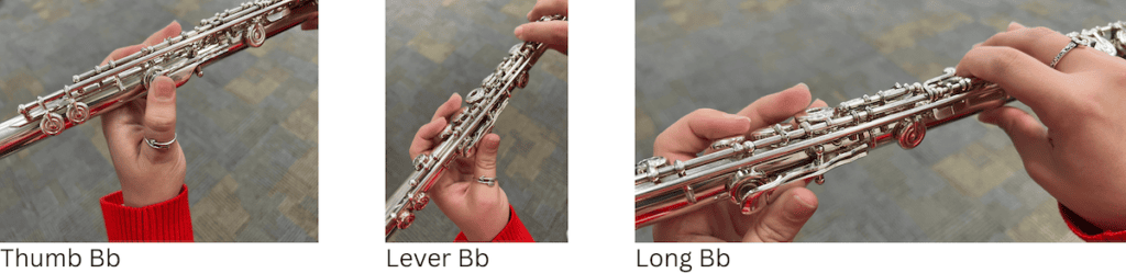 From Fundamentals to Fluency: Flute Teaching for Non-Flutist Band ...